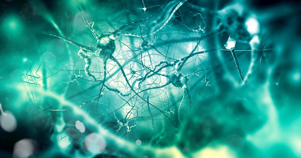 Early Parkinson's Study Finds Plant Compound Can Protect Neurons ...