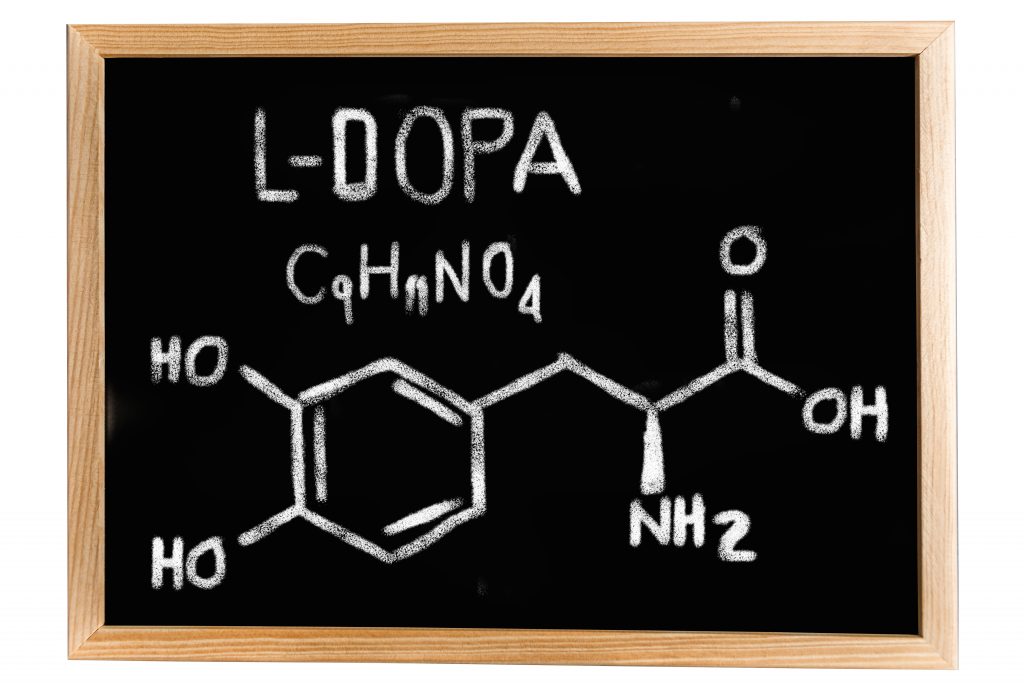 Researchers Discover Why L-DOPA Stops Working in Parkinson's Patients