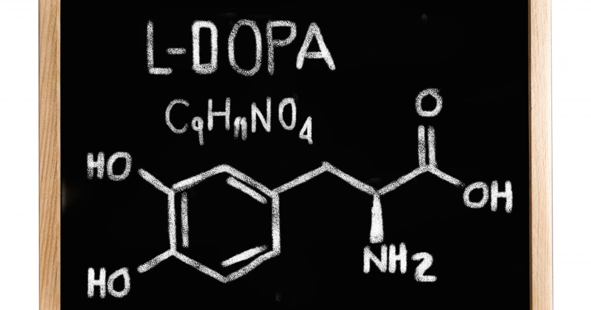 Researchers Discover Why L-DOPA Stops Working in Parkinson's Patients