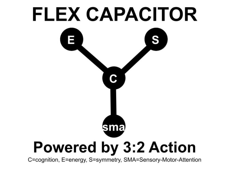 How I imagine a 'flex capacitor' could help me time-travel with ...