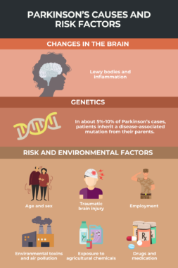 What causes Parkinson's disease? - Parkinson’s News Today